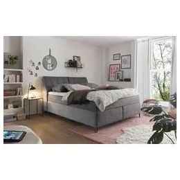 Boxspringbett "Fairfield", grau (dunkelgrau), B:166cm L:242cm, 92% Polyester, 8% Nylon, SET ONE BY Musterring, Komplettbetten, Boxspringbett, Kopfteil in Kassenoptik, Metallfu&szlig; schwarz, Breite 160 oder 180 cm