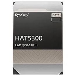 Synology interne HDD-Festplatte "HAT5300 12TB", schwarz, 12 TB, Festplatten