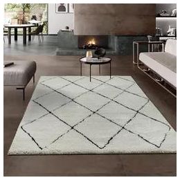 Teppich the carpet "Bahar Shaggy", beige (creme, schwarz), B:200cm H:30mm L:290cm, Polypropylen, Teppiche, Teppich