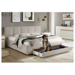 Polsterbett Home Affaire "CiTY/GiRON, Bettgestell mit Bettkasten, gepolstertes Stauraumbett", beige (hellbeige), B:210cm H:96cm L:220cm, Betten, Polsterbett, mit Hundebett oder Stauraumschublade, Bezug Cord-oder Leinenoptik