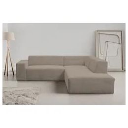 Ecksofa WERK2 "Zeus-M, B/T: 251/262 cm, tolles Sofa mit sch&ouml;nen Details, L-Form", beige (greige), B:251cm H:70cm T:262cm, 90% Polyester, 10% Nylon, Sofas, Ecksofa, Curvy Trend Garnitur, urbane Optik, komfortable Wellenunterfederung