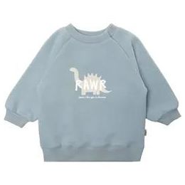 Sweatshirt Liliput "Dino Rawr", M&auml;dchen, Gr. 110/116, blau (hellblau), 80% Baumwolle, 20% Polyester, bedruckt, normal, Rundhals, Sweatshirts Sweatshirt, mit niedlichem Dino-Print