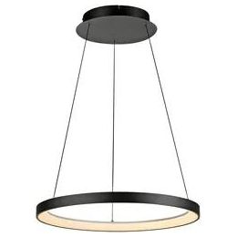 Paul Neuhaus Pendelleuchte "HOOP", schwarz, 1, &Oslash; 57cm H: 4cm, 1 Stk., Leuchten, LED, dimmbar, Simply Dim, Memory, nach Trennung vom Netz, Comfort Lift, Pendelleuchte