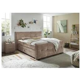 Boxspringbett ED EXCITING DESIGN "Gallina", grau (taupe), B:205cm L:234cm, 100% Polyester, Komplettbetten, Boxspringbett, mit Bettkasten, inkl. Topper