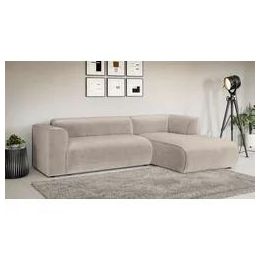 Ecksofa Home Affaire "GENTON L-Form (257 cm), zeitlos & stilvolles Design", beige, B:257cm H:78cm T:161cm, 100% Polyester, Sofas, Ecksofa, Aufwendig gepolstert, in Cord, Chenille und Struktur