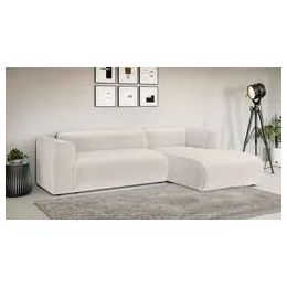 Ecksofa Home Affaire "GENTON L-Form (257 cm), zeitlos & stilvolles Design", beige (creme), B:257cm H:78cm T:161cm, 100% Polyester, Sofas, Ecksofa, Aufwendig gepolstert, in Cord, Chenille und Struktur