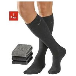 H.I.S. Kniestr&uuml;mpfe H.I.S, Herren, Gr. 47-48, 2x anthrazit, 1x grau, Baumwolle, Elasthan (LYCRA), Polyamid, meliert, elastisch, Socken Kniestr&uuml;mpfe, mit druckfreiem B&uuml;ndchen
