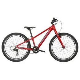 Kinderfahrrad KROSS "Kinder-MTB Level Jr 1.0" Gr. 30, rot (rot, rot), Fahrr&auml;der, Kinder, 30cm, 24 Zoll (60,96cm) hinten: 24 Zoll (60,96cm)