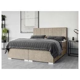 Bett Home Affaire "Ginoro mit Matratze und Topper, in 3 Breiten (140, 160 und 180 cm)", grau (taupe), B:182cm H:119cm L:209cm, 100% Polyester, Betten, Bett, Boxspringbett mit Kopfteil, Bettkasten, Matratze (BFK/TFK) und Topper