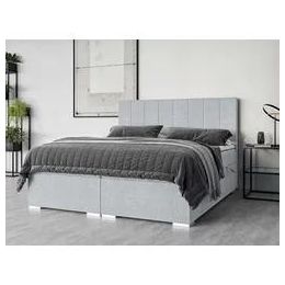 Bett Home Affaire "Ginoro mit Matratze und Topper, in 3 Breiten (140, 160 und 180 cm)", silber, B:182cm H:119cm L:209cm, 100% Polyester, Betten, Bett, Boxspringbett mit Kopfteil, Bettkasten, Matratze (BFK/TFK) und Topper