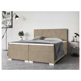 Bett Home Affaire "Liania mit Matratze und Topper, in 2 Breiten (160 und 180 cm)", grau (taupe), B:182cm H:119cm L:209cm, 100% Polyester, Betten, Bett, Boxspringbett mit Bettkasten, Matratze (BFK/TFK) und Topper