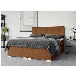Bett Home Affaire "Ginoro mit Matratze und Topper, in 3 Breiten (140, 160 und 180 cm)", orange (terra), B:162cm H:119cm L:209cm, 100% Polyester, Betten, Bett, Boxspringbett mit Kopfteil, Bettkasten, Matratze (BFK/TFK) und Topper