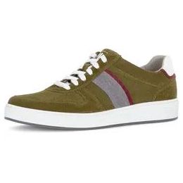 Sneaker PIUS Gabor, Herren, Gr. 10 (44,5), gr&uuml;n (oliv kombiniert), Veloursleder, Schuhe Sneaker, Freizeitschuh, Halbschuh, Schn&uuml;rer mit Kontrastbes&auml;tze, Weite G