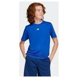 T-Shirt Adidas SPORTSWEAR "J TR-ES T", Jungen, Gr. 128, blau (royal blau, wei&szlig;), Obermaterial: 100% Polyester, Rundhals, Shirts T-Shirt