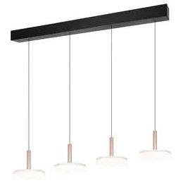 Trio LEUCHTEN LED Pendelleuchte "CELESTE dimmbare LED H&auml;ngelampe aus Metall und Glas, 7,5W, 750 Lumen", braun (coffee), 4, H: 200cm, 1 Stk., Leuchten, 4-flammig einfach h&ouml;henverstellbar von 50-200 cm 3-Stufen Dimmfunktion, LED Pendelleuchte