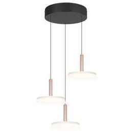 Trio LEUCHTEN LED Pendelleuchte "CELESTE dimmbare LED H&auml;ngelampe aus Metall und Glas, 7,5W, 750 Lumen", braun (coffee), 3, &Oslash; 35cm H: 200cm, 1 Stk., Leuchten, 3-flammig einfach h&ouml;henverstellbar von 50-200 cm 3-Stufen Dimmfunktion, LED Pendelleuchte