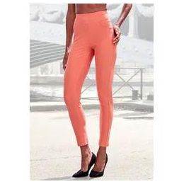 H.I.S. Leggings H.I.S, Damen, Gr. 48/50, N-Gr, orange (pfirsich), Obermaterial: 70% Baumwolle, 25% Polyester, 5% Elasthan, unifarben, Basic, Hosen Leggings, im Schlupfhosen Style