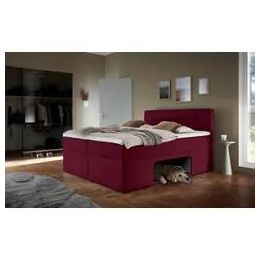Boxbett Home Affaire "Carolin", rot (bordeaux meliert), B:162cm L:210cm, Komplettbetten, mit Nische inkl. gepolsterter Unterlage f&uuml;r Haustiere