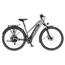 E-Bike Fischer FAHRRAD "TERRA 2.2 459" Gr. 50, grau, Elektrofahrr&auml;der, 50cm, 29 Zoll (73,66cm), Pedelec, Elektrofahrrad f&uuml;r Damen und Herren