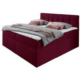 Boxbett Home Affaire, rot (bordeaux meliert), B:182cm L:210cm, Komplettbetten