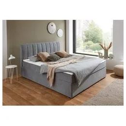 Boxbett "Alva, wahlweise mit Matratze", grau, B:203cm L:211cm, ATLANTIC HOME COLLECTION, Komplettbetten, wahlweise mit Matratze und Topper