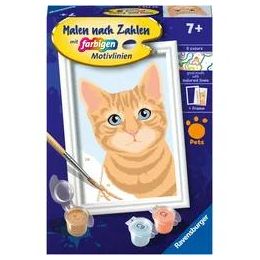 Malen nach Zahlen Ravensburger "CreArt, Niedliche Katze", bunt, Malvorlagen, KinderB:5cm H:12cm, Made in Europe, B:5cm H:12cm