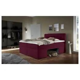 Boxbett Home Affaire "Carolin", rot (bordeaux meliert), B:182cm L:210cm, Komplettbetten, mit Nische inkl. gepolsterter Unterlage f&uuml;r Haustiere