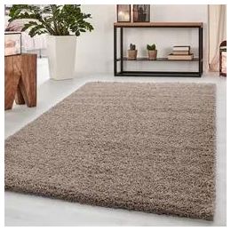 Hochflor-Teppich Ayyildiz TEPPICHE "Dream Shaggy", beige, B:60cm H:50mm L:110cm, Kunstfaser, Teppiche, Langflor, auch in rund, L&auml;ufer, Wohnzimmer Schlafzimmer