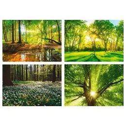 Poster Artland "Wald Bach Fr&uuml;hling Windrosen Sonne Baum", gr&uuml;n (farbe bild(er): gr&uuml;n), B:29,7cm H:21cm, Bilder, Poster, Bilder Set, 4tlg., ohne Rahmen