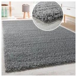 Hochflor-Teppich Paco Home "Sky 250", grau, B:60cm H:34mm L:100cm, Polypropylen (PP), Teppiche, gewebt, Uni-Farben, intensive Farbbrillanz, auch als L&auml;ufer erh&auml;ltlich