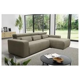 Ecksofa DOMO collection "Brandon B/T: 289/177 cm, belastbar bis 140kg/ Sitz, L-Form", braun (schlamm), B:289cm H:80cm T:175cm, Luxus-Microfaser in Antikleder-Optik (100% Polyester);Luxus-Microfaser (100% Polyester);Kunstleder SOFTLUX, Sofas, Ecksofa, mit Sitztiefenverstellung, Cord, schlamm