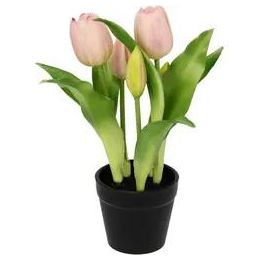 Kunstblume I.GE.A. "Tulpen", rosa, B:20cm H:22cm L:20cm, Polyester, Kunstpflanzen, Real-Touch Bl&uuml;ten Tulpe Tulpenstrau&szlig; Latex Kunsttulpe Einzelblumen