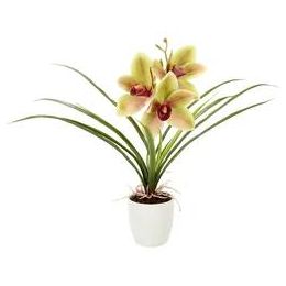 Kunstblume I.GE.A. "Orchidee", bunt (gr&uuml;n, rot), B:26cm H:32cm L:16cm, Polyester, Kunstpflanzen, Mit Bl&auml;tter im Topf aus Keramik K&uuml;nstliche Blume Cymbidium-Orchidee