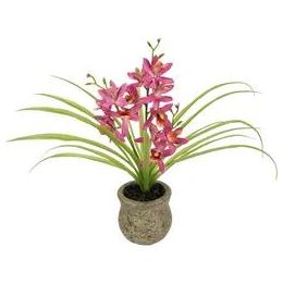 Kunstblume I.GE.A. "Kunstblume Schmetterling Orchidee mit Keramiktopf", rosa (dunkelrosa), B:39cm H:38cm L:11cm, Polyester, Kunstpflanzen, Mit Bl&auml;tter Luftwurzeln Blume Kunstorchidee Phalaenopsis Kunstpflanze