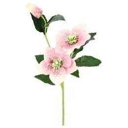 Kunstblume I.GE.A. "Christrose", rosa, B:12cm H:57cm L:5cm, Obermaterial: 90% Polyester, 10% Kunststoff, Kunstpflanzen, K&uuml;nstlich Seidenblumen, 5er Set