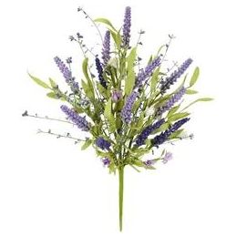 Kunstblume I.GE.A. "Lavendel Busch", lila (violett), B:20cm H:48cm L:12cm, Polyester, Kunstpflanzen, K&uuml;nstliche Blumen Lavendelbusch K&uuml;nstlicher Lavendelstrau&szlig;