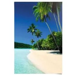 Poster Reinders "Traum Strand", blau (farbe bild(er): blau), B:61cm H:91,5cm, Papier, Bilder, Poster
