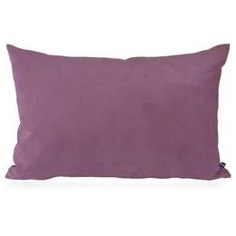 HOCK Dekokissen H.O.C.K. "Versatil", lila (mauve, unifarben), B:60cm H:10cm L:40cm, Baumwolle, Polyester, Dekokissen_Sitzkissen_Kissenh&uuml;llen, Sofakissen inkl. F&uuml;llung, 50x30cm, einfarbig, pink, Samt, Dekokissen