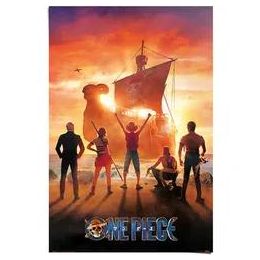 Poster Reinders "One Piece - straw hat pirates", orange (farbe bild(er): orange), B:61cm H:91,5cm T:0,1cm, Bilder, Poster, Teenager Zimmer - Orange - 150 gr. Papier - Cartoons - 61x91,5 cm