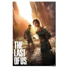 Poster Reinders "Playstation - the last of us", braun (farbe bild(er): braun), B:61cm H:91,5cm T:0,1cm, Papier, Bilder, Poster