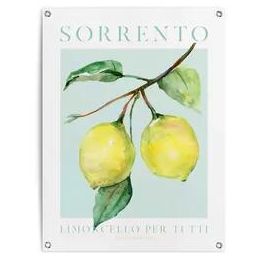 Poster Reinders "Lemon Portrait", gelb (farbe bild(er): gelb), B:60cm H:80cm T:0,1cm, Bilder, Poster