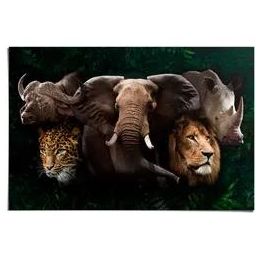 Poster Reinders "The big five", braun (farbe bild(er): braun), B:91,5cm H:61cm T:0,1cm, Papier, Bilder, Poster
