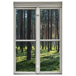 Wandsticker queence "Wald", beige (natur), B:40cm H:60cm T:0,1cm, Wandtattoos, Wandsticker, Wandbild, selbstklebend, 3D, Fenster