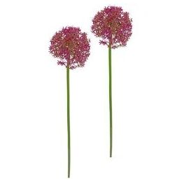 Kunstblume I.GE.A. "Allium Zierlauch", lila (mauve), B:13cm H:80cm L:13cm, Kunststoff, Kunstpflanzen, Stielblume k&uuml;nstliche Blumen, 2er Set
