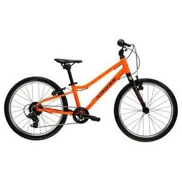Kinderfahrrad KROSS "KROSS Kinderrad Lightweight Liftie 20" orange" Gr. 25, orange (orange, orange), Fahrr&auml;der, Kinder, 25cm, 20 Zoll (50,80cm) hinten: 20 Zoll (50,80cm)