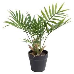 K&uuml;nstliche Zimmerpflanze BOTANIC-HAUS "Chamaedorea Palme", gr&uuml;n, B:30cm H:28cm T:30cm &Oslash;:30cm, Kunststoff, Kunstpflanzen, K&uuml;nstliche Zimmerpflanze
