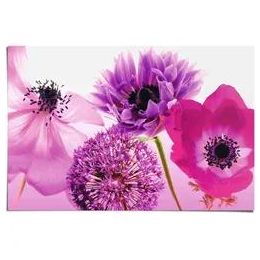 Poster Reinders "Lila Sommer", lila (farbe bild(er): lila), B:91,5cm H:61cm, Papier, Bilder, Poster
