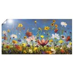 Wandbild Artland "Wildblumenwiese blauer Himmel", bunt (farbe bild(er): bunt), B:60cm H:30cm, Bilder, als Leinwandbild, Poster in verschied. Gr&ouml;&szlig;en