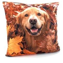 Weckbrodt-Gardinen Dekokissen WECKBRODT "Golden Retriever" Gr. 1, bunt (multi), B:40cm L:40cm, Polyester, Obermaterial: 100% Polyester, Dekokissen_Sitzkissen_Kissenh&uuml;llen