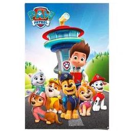 Poster Reinders "Paw Patrol team", bunt (farbe bild(er): mehrfarbig), B:61cm H:91,5cm, Papier, Bilder, Poster